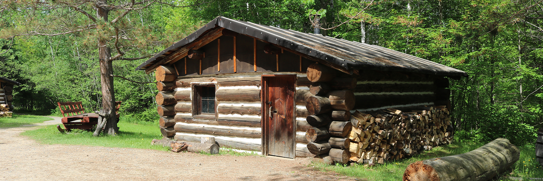 Forest History Center | MNHS