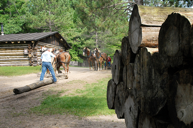 Forest History Center | MNHS